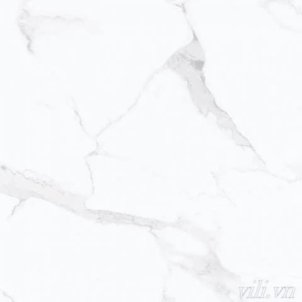 Gạch Lát Nền 80x80 : Gạch lát nền 80X80 Prime ...