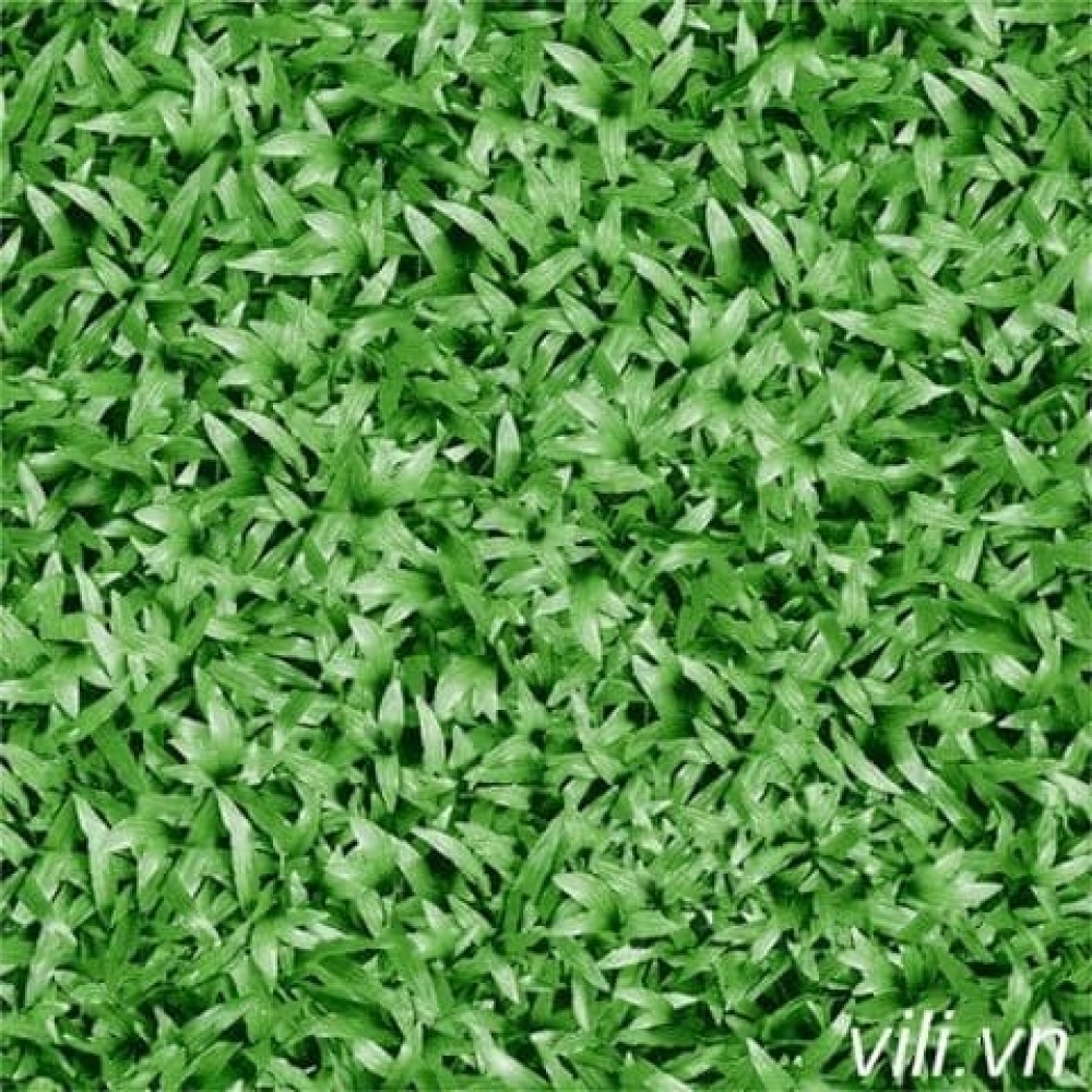 Gạch Sân Vườn 40x40 : Gạch Sân Vườn 40X40 PRIME ...