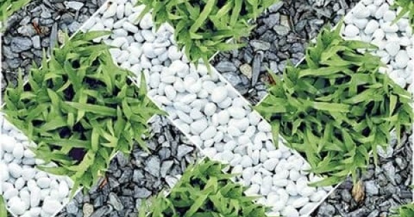 Gạch Sân Vườn 40x40 : Gạch Sân Vườn 40X40 PRIME ...